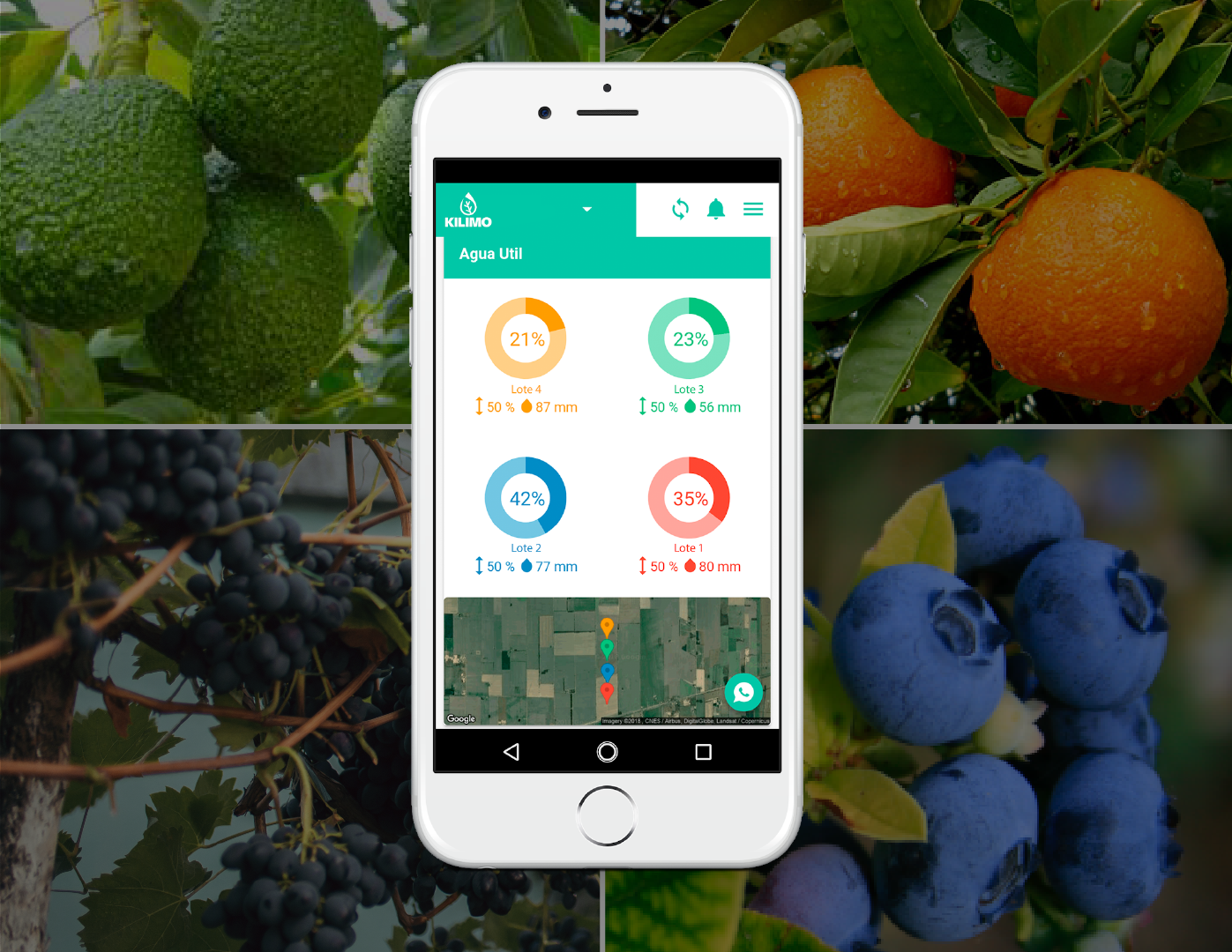 Kilimo | Términos y Condiciones